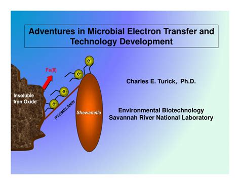 Pdf Adventures In Microbial Electron Transfer