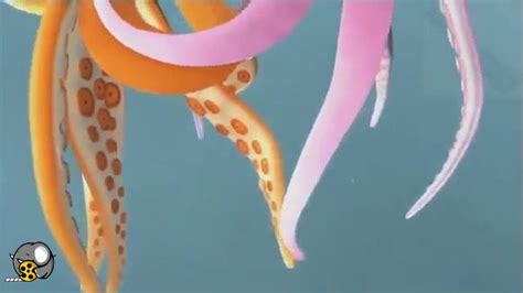 انیمیشن کوتاه ودیدنی اختاپوس فیلو