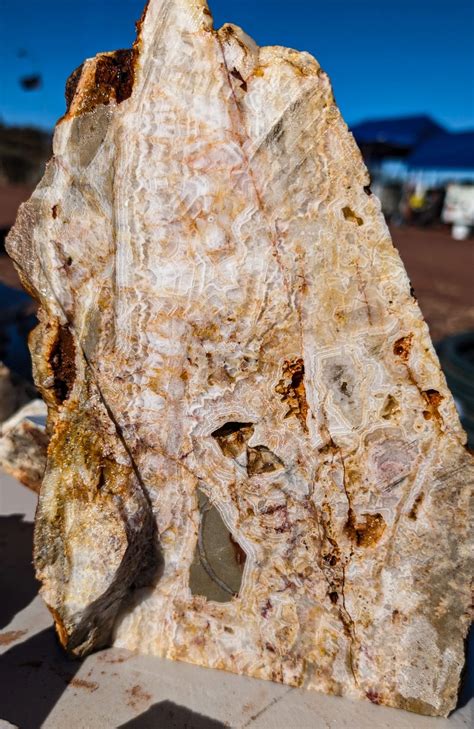 Kris Butera On Linkedin Some Of The Best Rocks Of The Field Season So Far Plutonic Limited