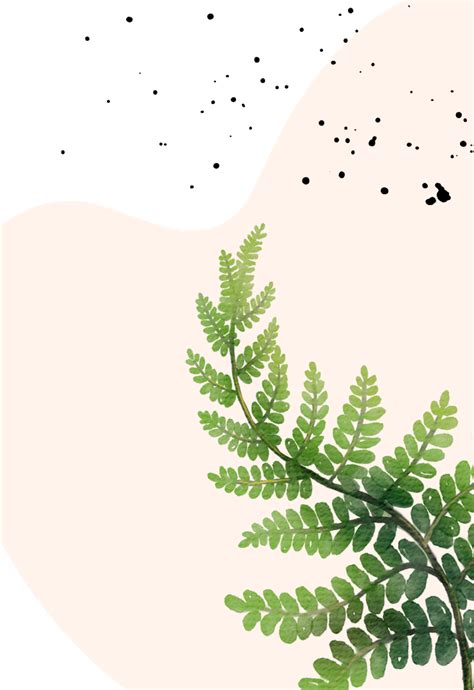 Біологія 7 клас НУШ Практична робота Порівняння будови різних представників вищих спорових рослин