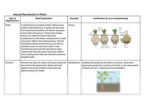 Asexual Reproduction Of Plants Biology Year 12 Hsc Thinkswap
