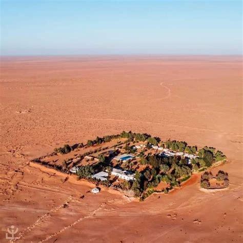 Шинэ Тунисийн элсэн цөлд нэгэн баян бүрд байгуулжээ 🏜🐪💧 Эко ертөнц Facebook