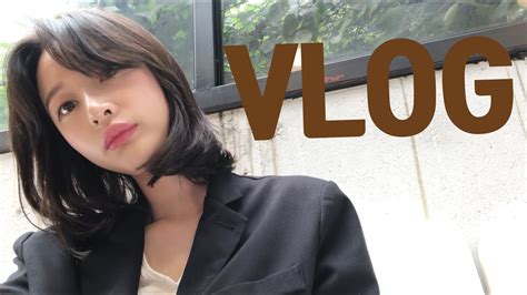 브이로그 Vlog 가을 일상 브이로그보통의 일주일택이로그차돌박이에 소주집밥 갈선생닭갈비친구네집 홈파티