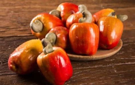 What Does Cashew Fruit Taste Like Exploring The Flavor