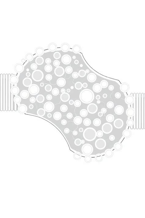 12 Inspiring Cell Membrane Drawing Ideas To Spark Your Creativity