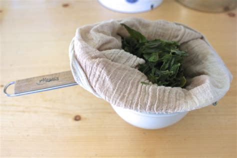 Healthy Homegrown Sweetener How To Make Liquid Stevia Extract Bonzai Aphrodite