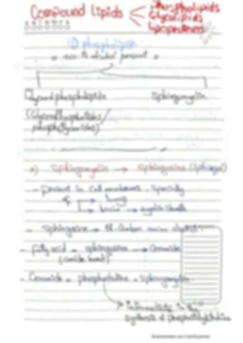 Solution Lipids Biochem 2 Studypool