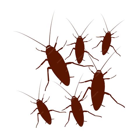 Premium Vector Cockroach Icon