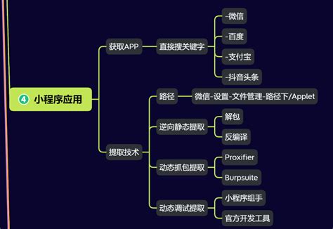 019 信息打点 小程序应用and解包反编译and动态调试and抓包and静态分析and源码架构 小程序动态调试 csdn博客