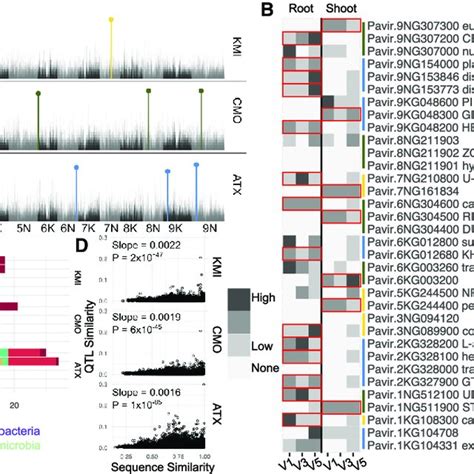 Field Site Is The Primary Determinant Of Switchgrass Root Microbiota Download Scientific