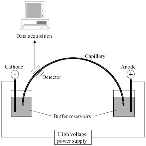 Pdf High Efficiency Separation Techniques Fast Hplc Using Monolithic