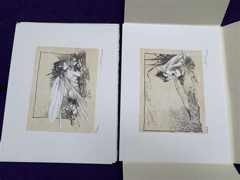 Loisel Granit Associés Tinkerbell Illustrated Comics Plazzart