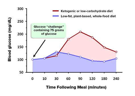 7 Misleading Statements About Ketosis And The Keto Diet