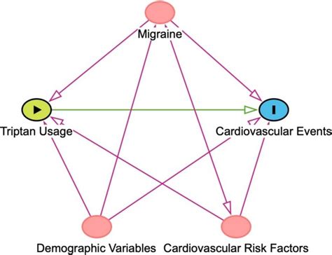 Cardiovascular Risk And Triptan Usage Among Patients With Migraine Pmc