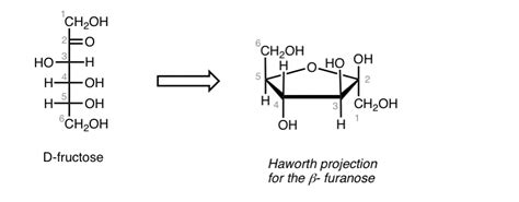 Sucrose Fisher Projection