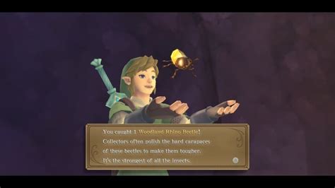 Zelda Skyward Sword Hd All Bug Areas