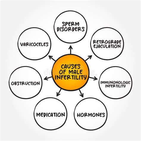 Causes Of Male Infertility Mind Map Text Concept For Presentations And Reports Stock