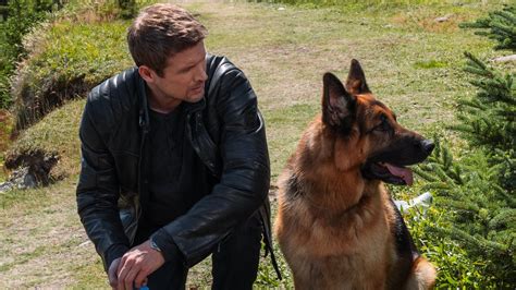 Hudson And Rex 2019 Tv Show Az Movies