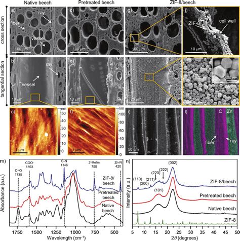 Cross Sectional First Line And Tangential Sectional Second Line Sem