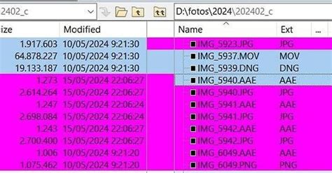 Strange Bug File Names Swapped When Transferring To Pc Rapplehelp