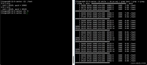 Linux之创建进程、查看进程、进程的状态以及进程的优先级 阿里云开发者社区