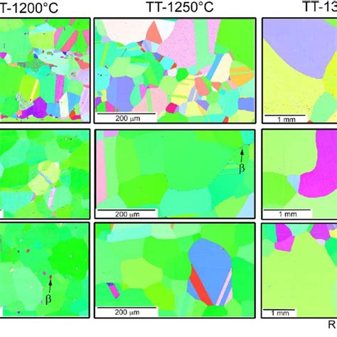EBSD IPF Maps In The ND Plane Of All Conditions After Thermal Download Scientific Diagram