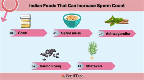 Best Foods To Increase Sperm Count And Motility
