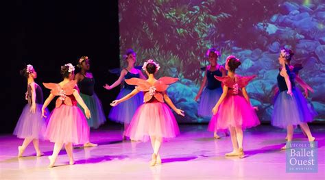 Fairies From Peter Pan Ballet See How I Made The Wings Out Of Wire And