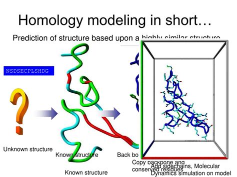 PPT Homology Modeling PowerPoint Presentation Free Download ID