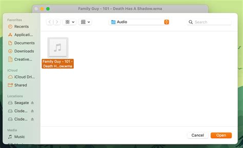 How To Play WMA On Mac Best Ways