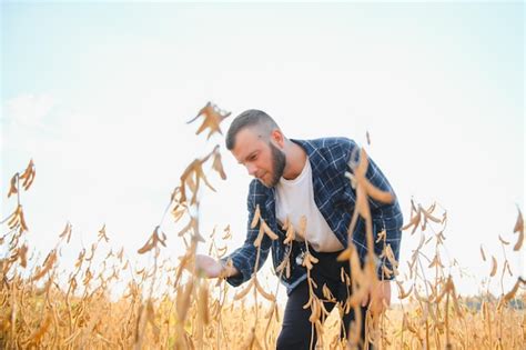 Premium Photo Agronomist Inspecting Soya Bean Crops Growing In The