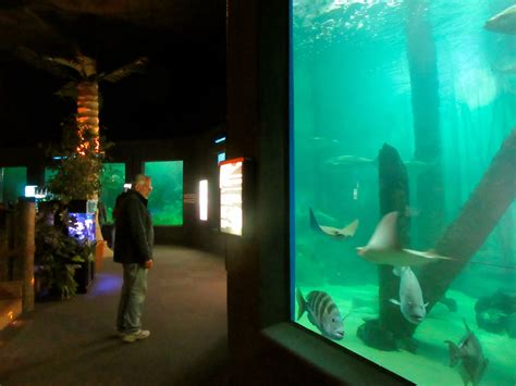 Aquariums In New Jersey At Loren Bona Blog