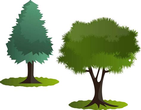 Page 2 Texas Trees Vector Art Icons And Graphics For Free Download