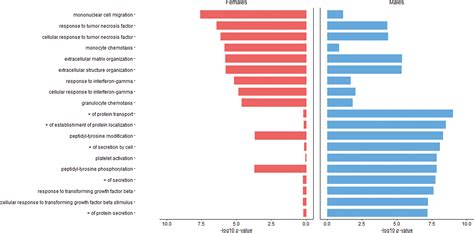 Plasma Proteomic Patterns Show Sex Differences In Early Concentric Left