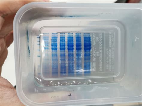 Questions With Answers In HIS TAG Science Topic