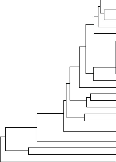 phenogram based on upgma cluster analysis using rogers 1972 modified