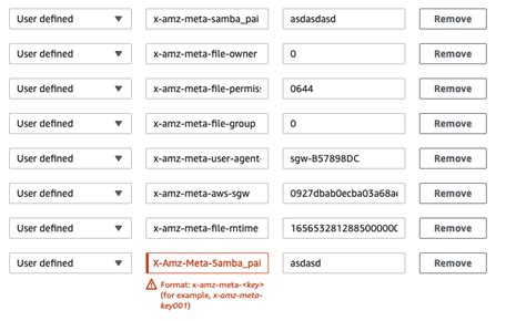 Invalid Metadata Key Names Result In A Failure To Transfer Xattr Results In Failure To Upload