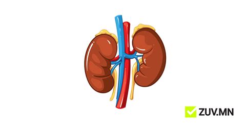 Бөөрний даралт ихсэх өвчний эмчилгээний 85 хувийг хөнгөлнө