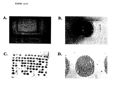 Frozen Tissue Microarray Technology For Analysis Rna Dna And Proteins Eureka Patsnap