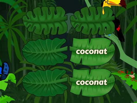 The Coconat Matching Pairs