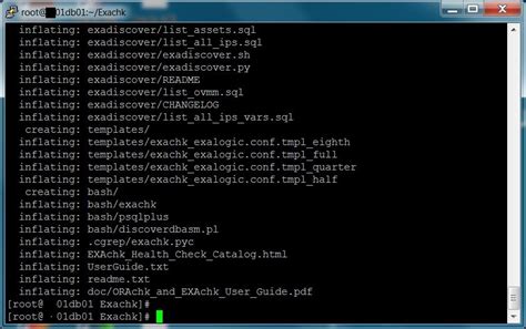 Netsoftmate Technical Blog Exadata Database Machine Health Check