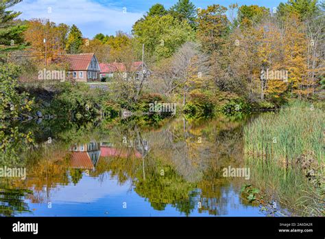Trees Turning Colors Stock Photo Alamy