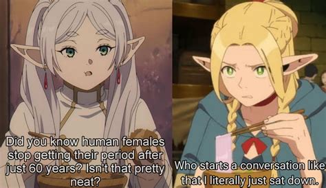 Frieren Dungeon Meshi 9gag