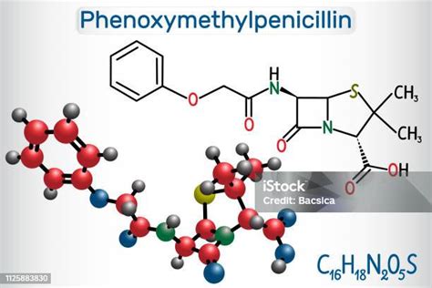 Phenoxymethylpenicillin 항생제 약물의 분자 구조 화학 공식 및 분자 모델 0명에 대한 스톡 벡터 아트 및