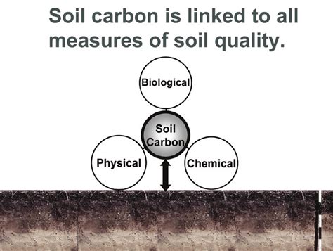 The Interdependence Of Soil Physical Chemical And Biological Download Scientific Diagram