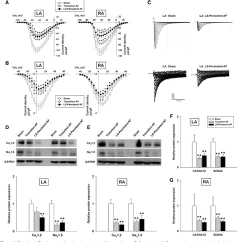 Figure 6 From Dominant Frequency Increase Rate Predicts Transition From Paroxysmal To Long Term