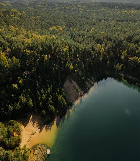 경치 경치 좋은 전망 경치가 좋은 고산 숲 고요한 고요한 광경 고요함 광야 그림 같은 깨끗한 나무 녹색 때묻지 않은 맑은 공기 목가적인 무성한