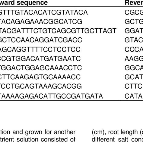 Microsatellite Ssr Primers Used For The Molecular Screening Download Scientific Diagram