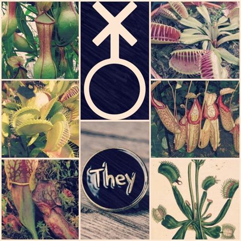 Moodboards Galore On Tumblr