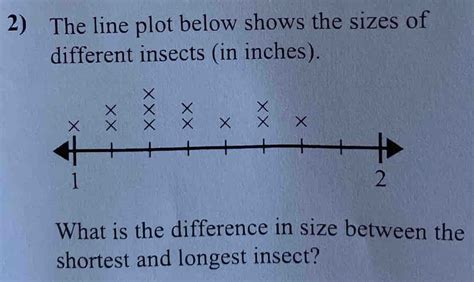 solved 2 the line plot below shows the sizes of different insects in inches × 2 what is t